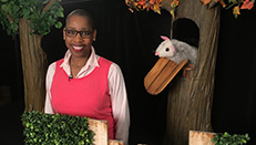 Feature Shows | seattlechannel.org